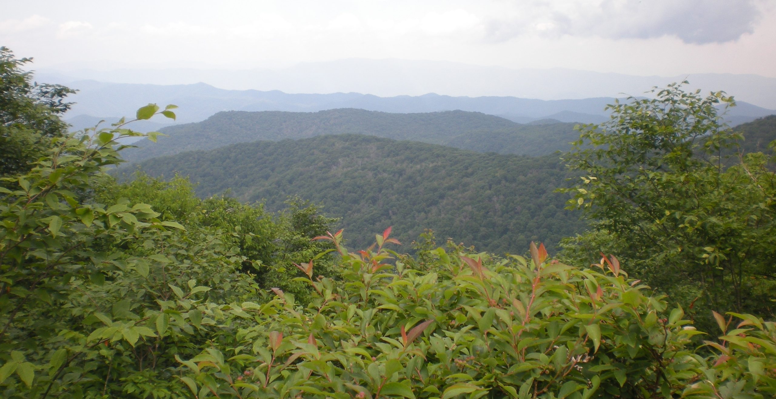Eastern Region | Eastern Region