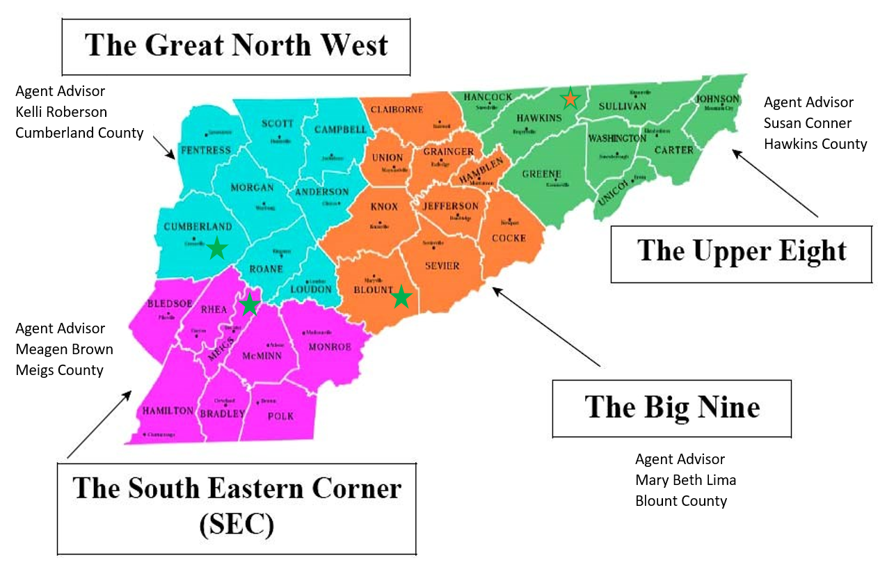 Eastern Region FCE | Eastern Region